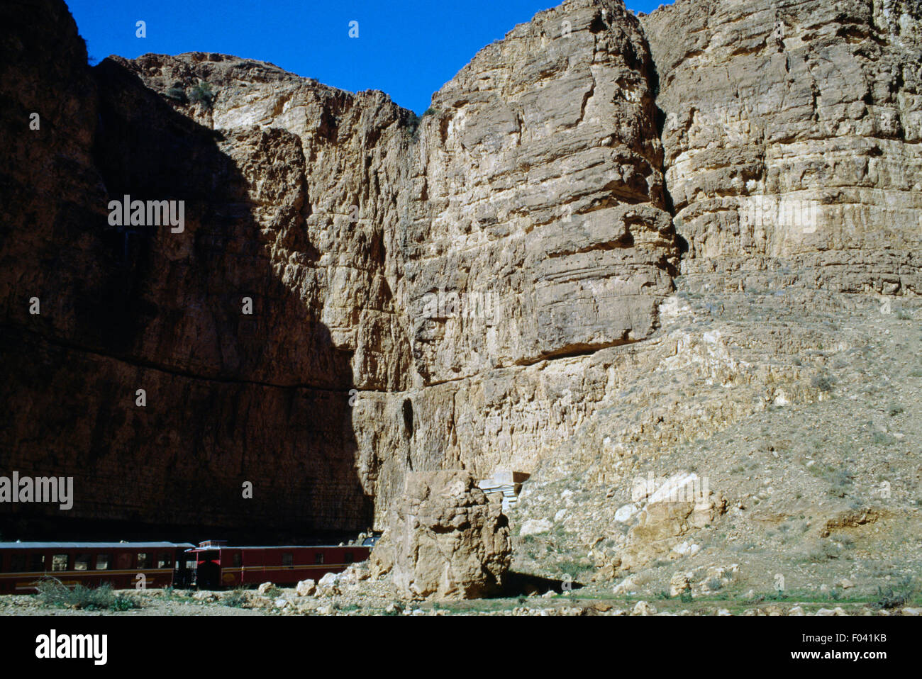 Red lizard train -Fotos und -Bildmaterial in hoher Auflösung – Alamy