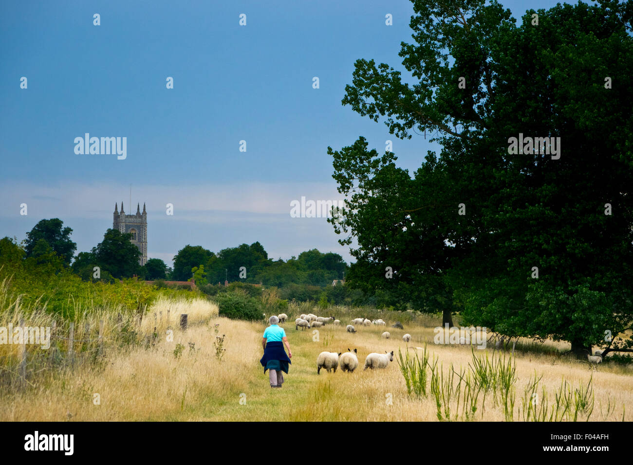 Dedham vale -Fotos und -Bildmaterial in hoher Auflösung – Alamy
