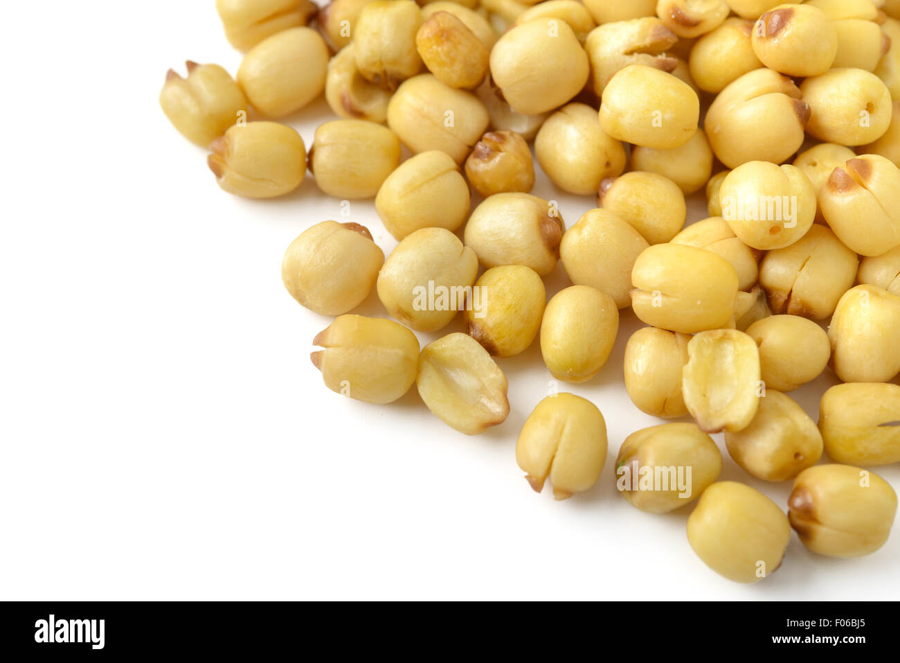 Lotus samen -Fotos und -Bildmaterial in hoher Auflösung – Alamy