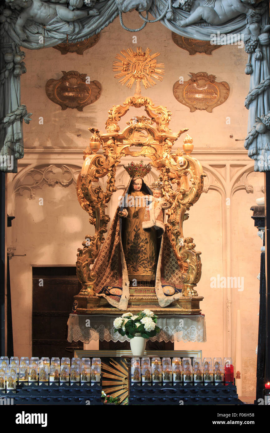 Saint rumbolds cathedral in mechelen -Fotos und -Bildmaterial in hoher ...