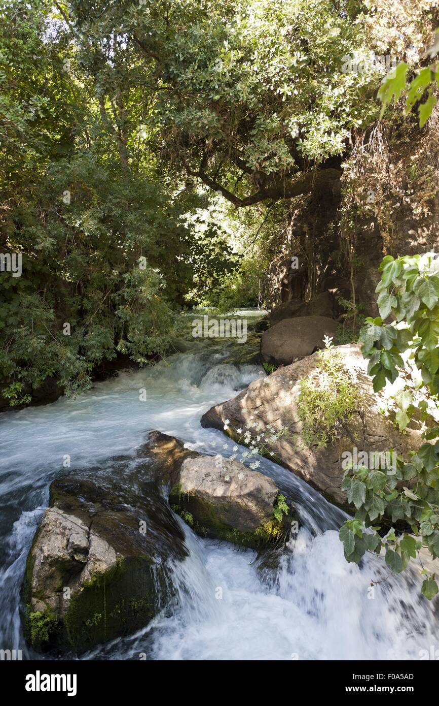 Blick auf Banias Wasserfall und Fluss Jordan im Golan, Israel ...