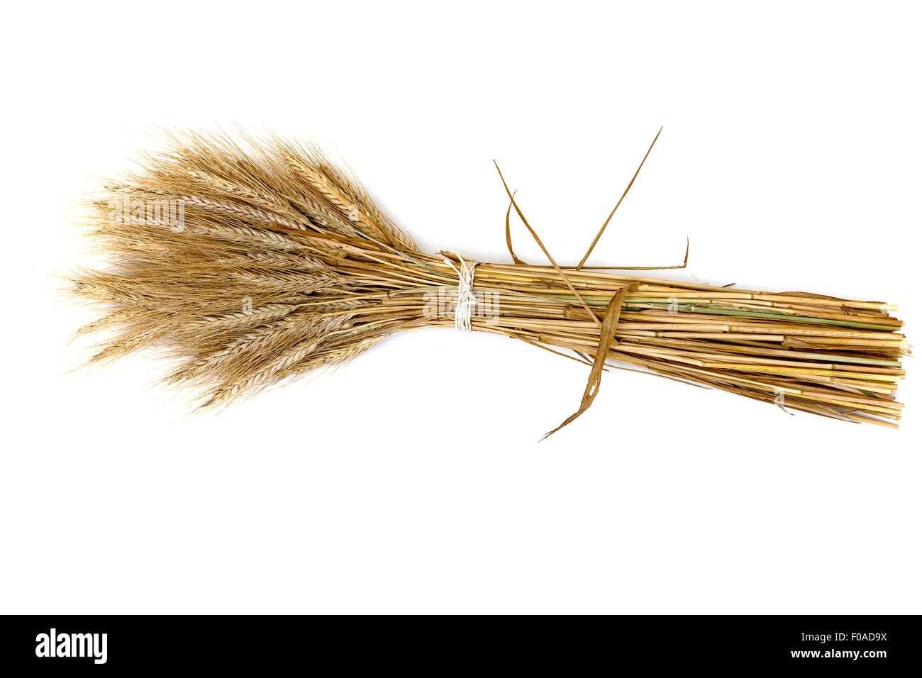 Getreide garbe -Fotos und -Bildmaterial in hoher Auflösung - Seite 2 ...