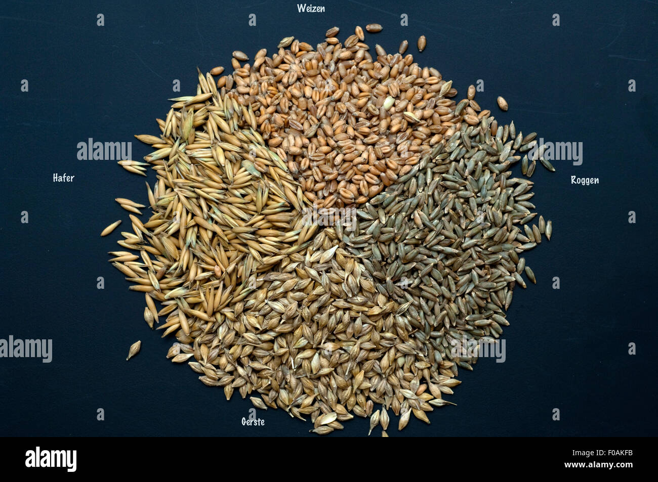 Getreidesorten; Gasse; Getreidekoerner Stockfotografie - Alamy