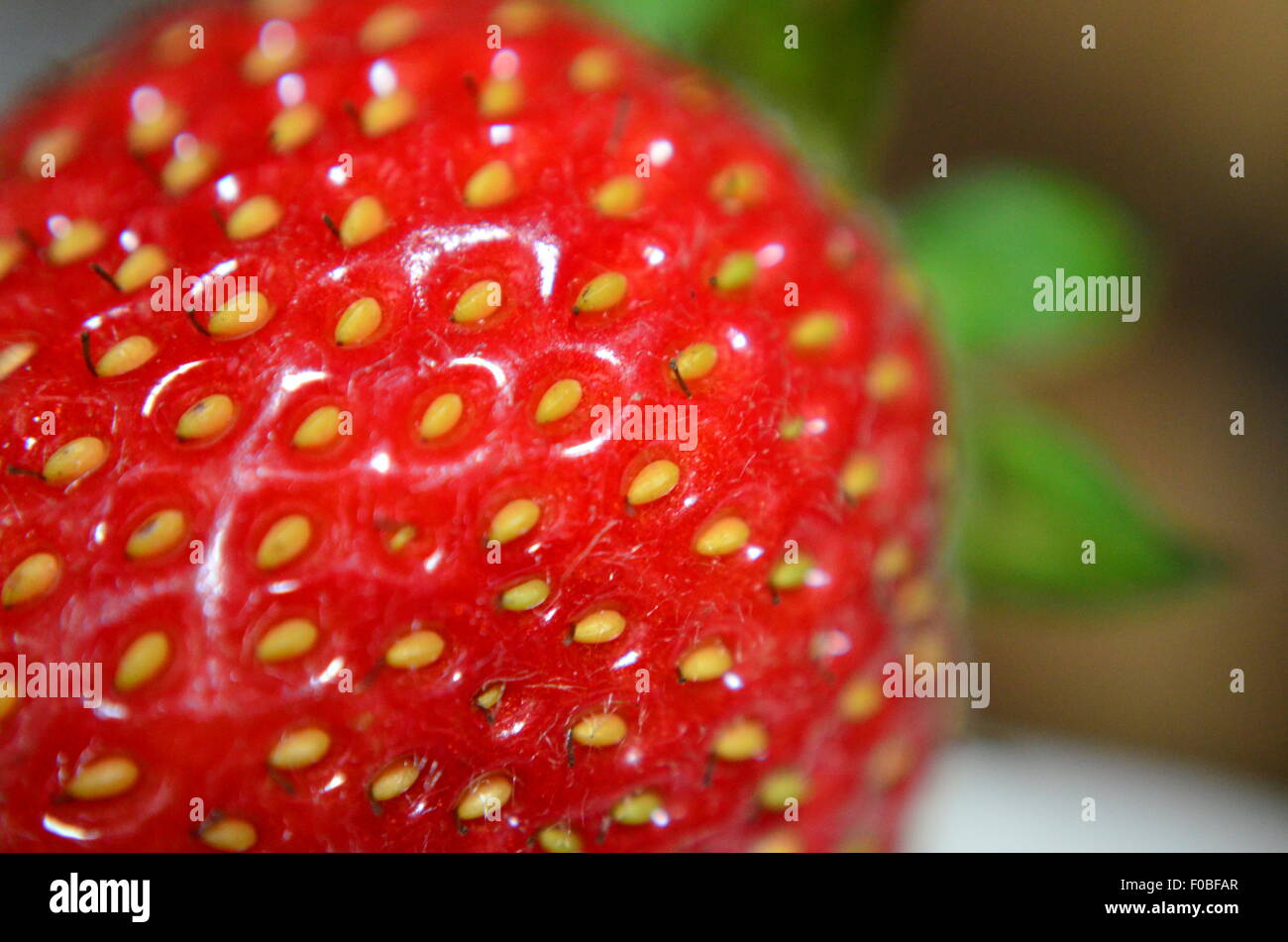 Erdbeer nahaufnahme -Fotos und -Bildmaterial in hoher Auflösung – Alamy