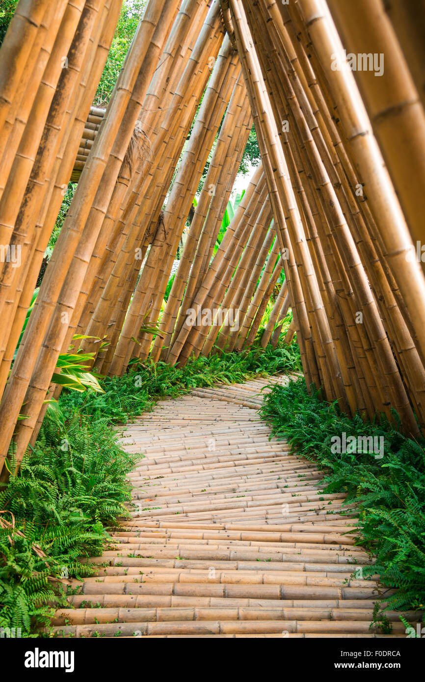 Bamboo road -Fotos und -Bildmaterial in hoher Auflösung – Alamy