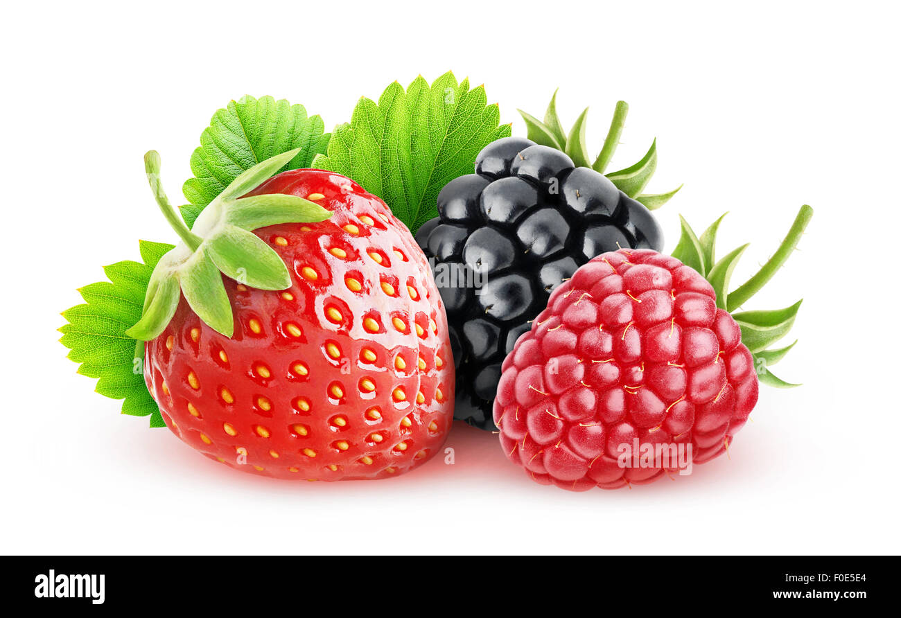 Mischung aus beeren -Fotos und -Bildmaterial in hoher Auflösung – Alamy