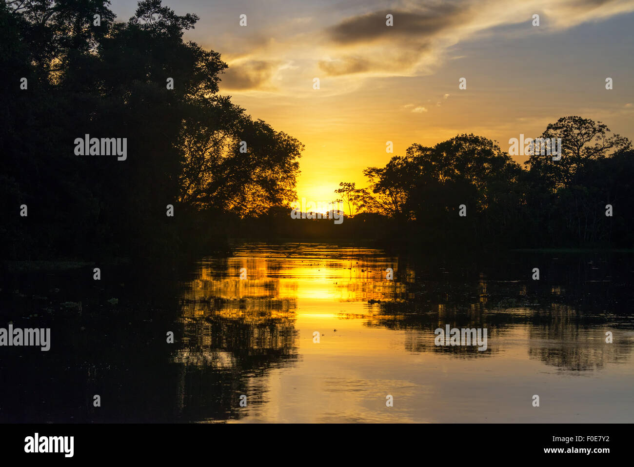 Sonnenuntergang in der Amazonas-Regenwald in der Nähe von Iquitos, Peru ...