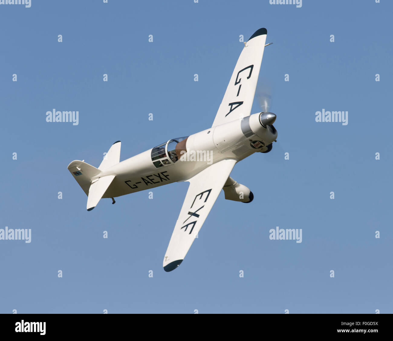 Percival Mew Gull G-AEXF, ein Flugzeug der British Racing von den ...