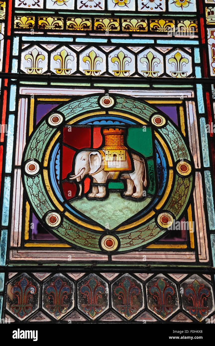 Coventry elefant -Fotos und -Bildmaterial in hoher Auflösung – Alamy