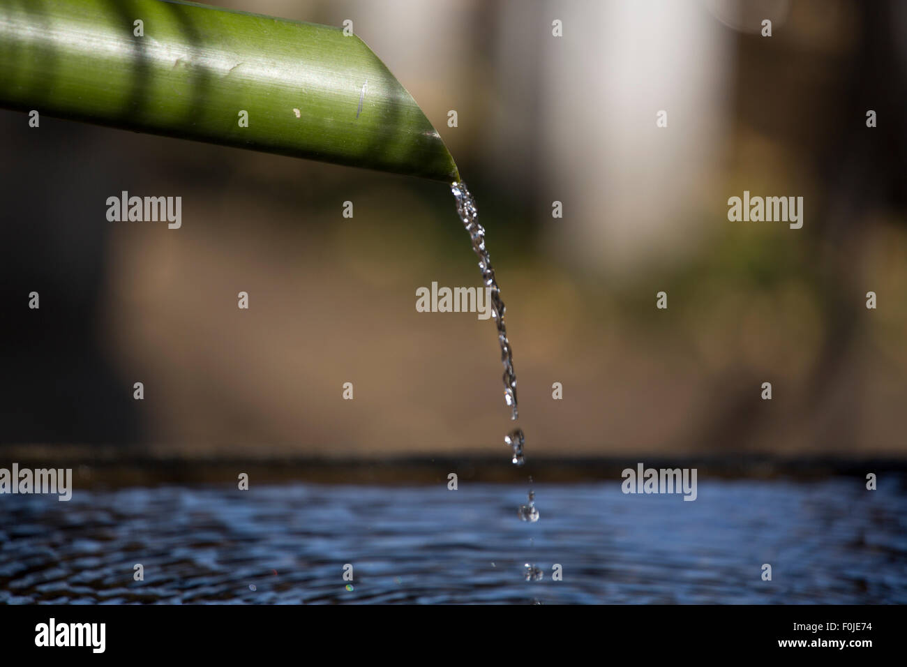 Tempel bambus -Fotos und -Bildmaterial in hoher Auflösung – Alamy