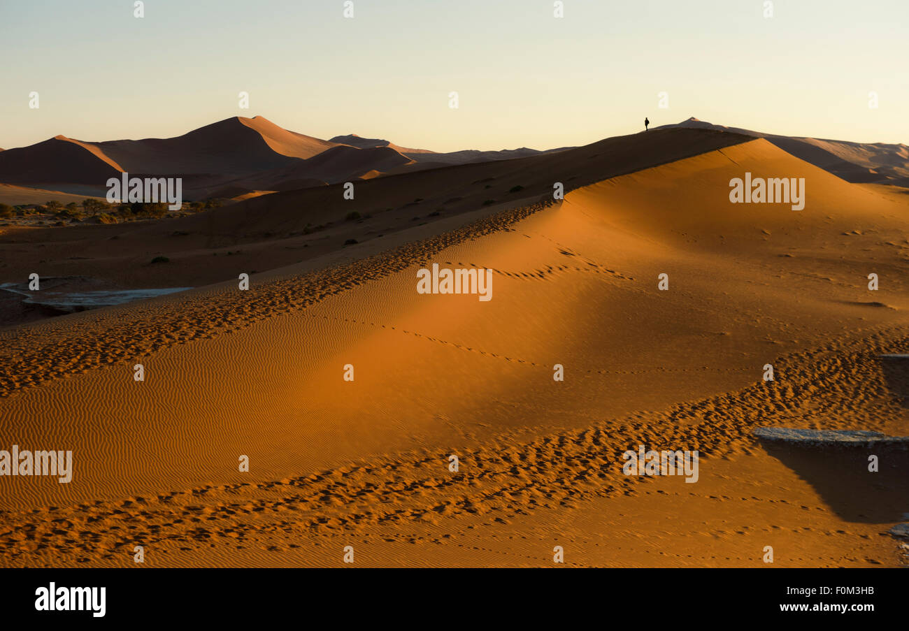 Rote dünen bei sossusvlei -Fotos und -Bildmaterial in hoher Auflösung ...