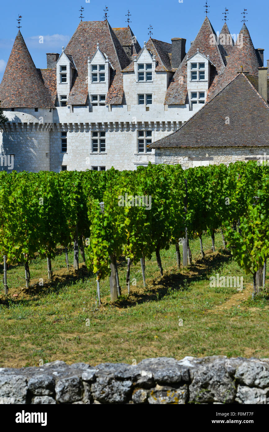 CHATEAU MONBAZILLAC AOC, MONBAZILLAC, Weinberg, BERGERAC DORDOGNE ...