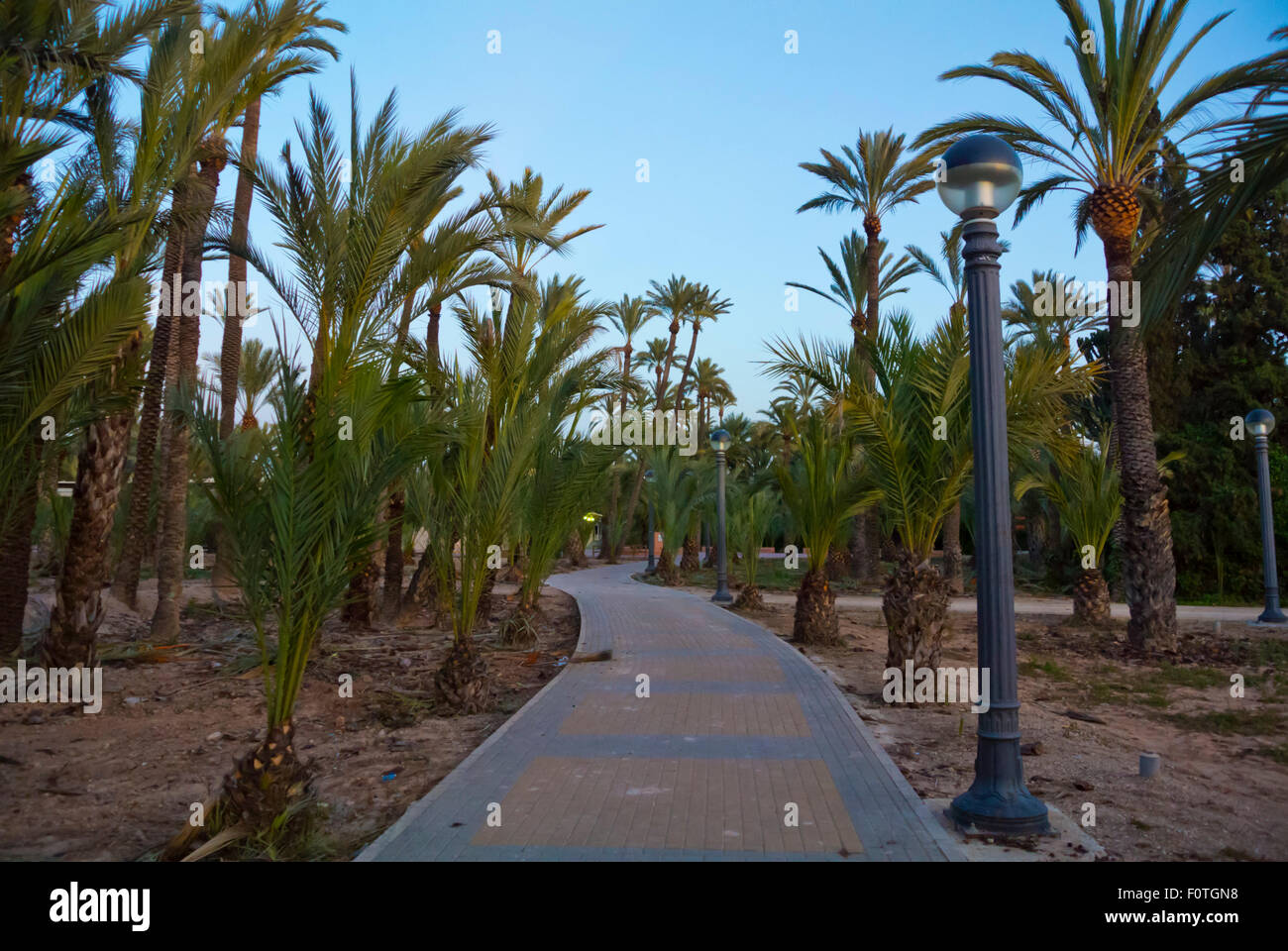 Garden trees -Fotos und -Bildmaterial in hoher Auflösung – Alamy