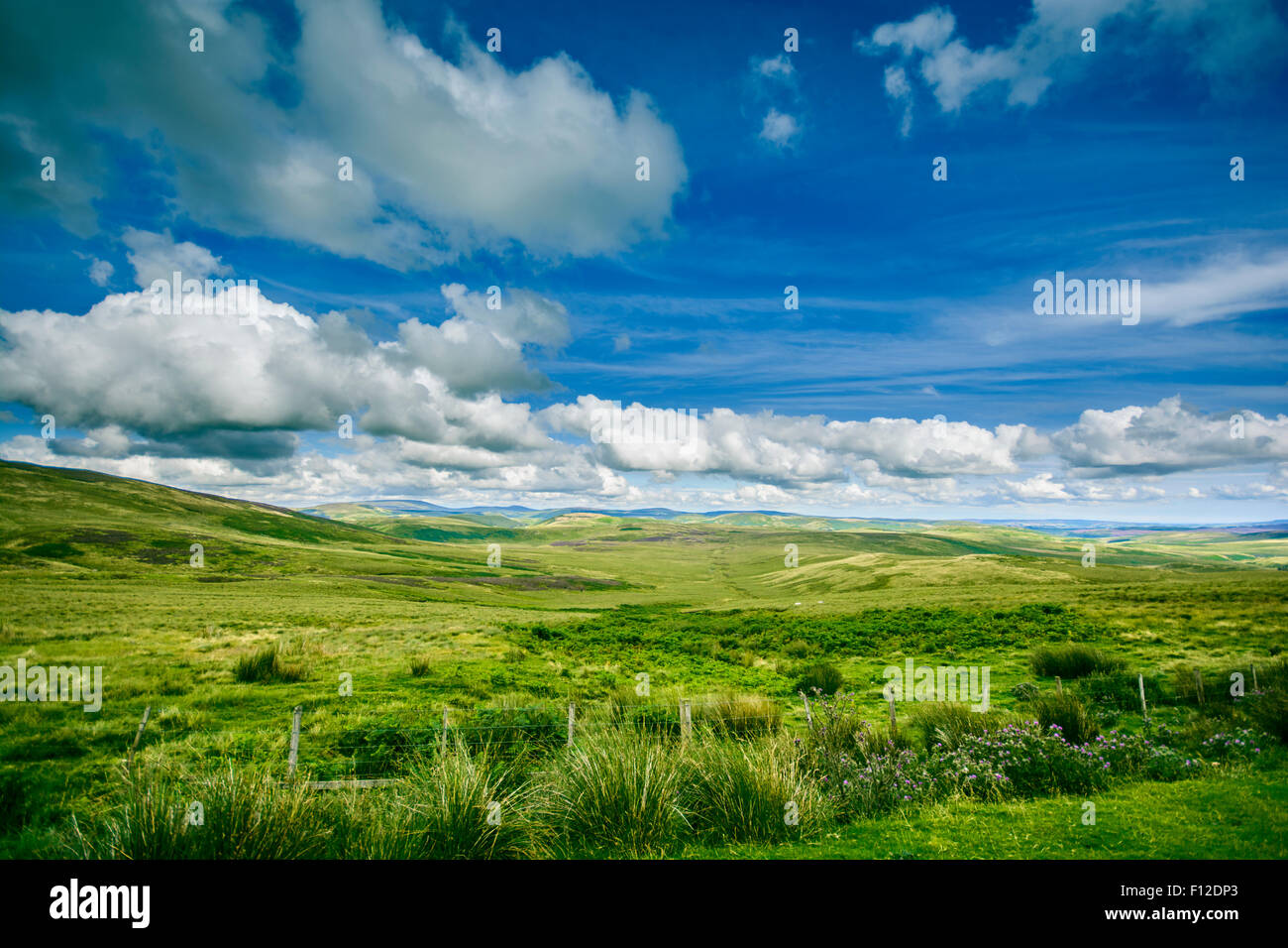 Der goldne topf -Fotos und -Bildmaterial in hoher Auflösung – Alamy