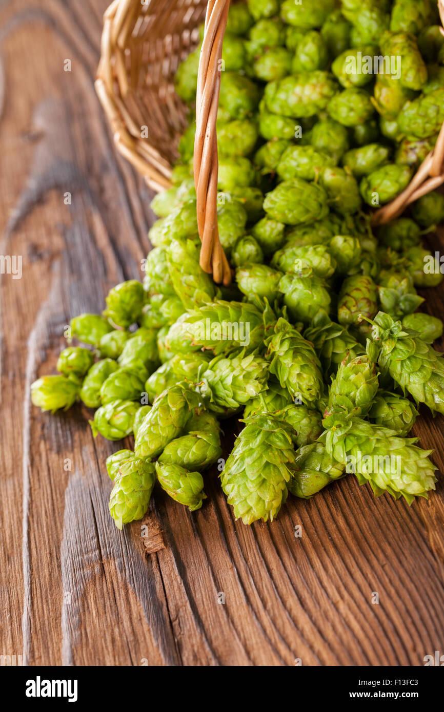 Korb mit hopfen -Fotos und -Bildmaterial in hoher Auflösung – Alamy