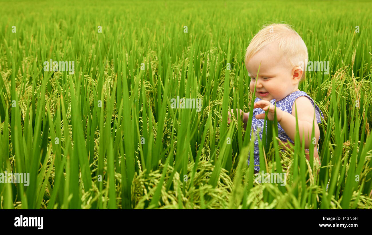 Kinder beim reisanbau im reisfeld -Fotos und -Bildmaterial in hoher ...