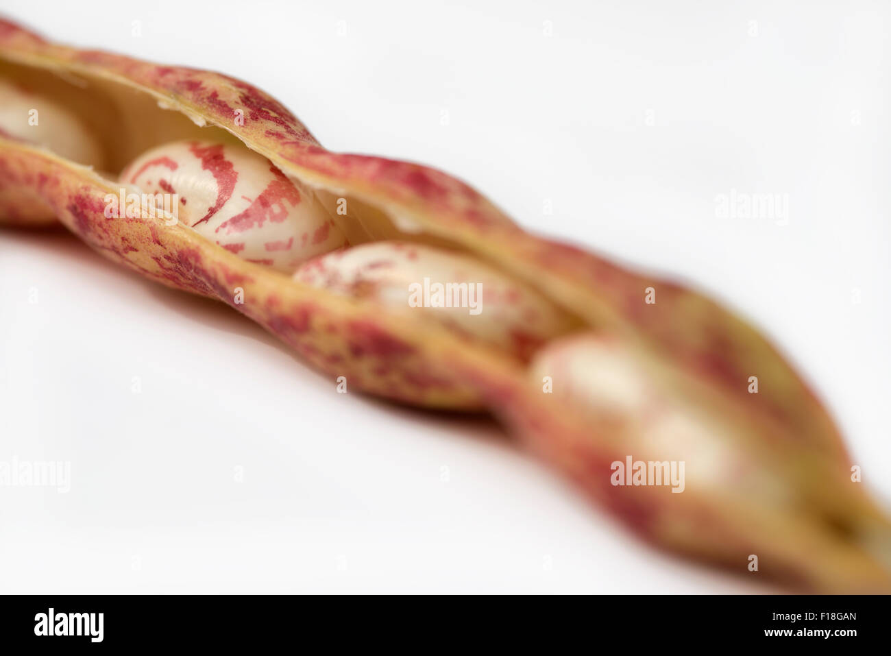 Saluggia bean -Fotos und -Bildmaterial in hoher Auflösung – Alamy