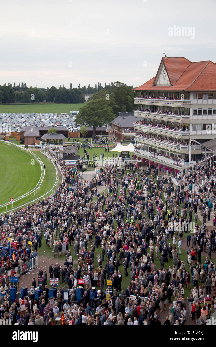 York horse racing -Fotos und -Bildmaterial in hoher Auflösung – Alamy