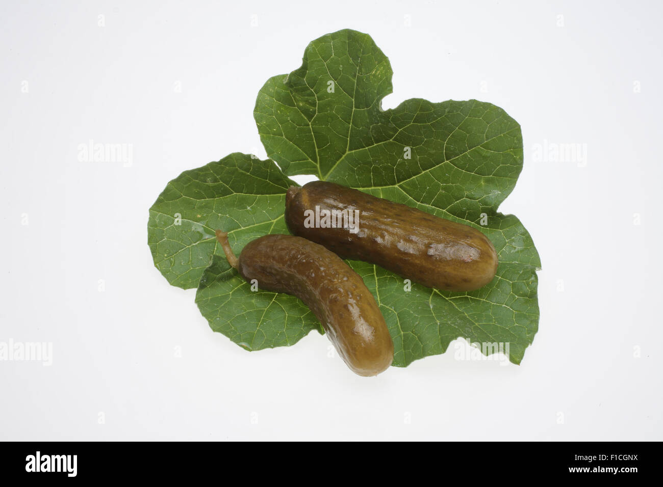 Essiggurken oder saure Gurke auf einer Gurke Blatt über weiß ...