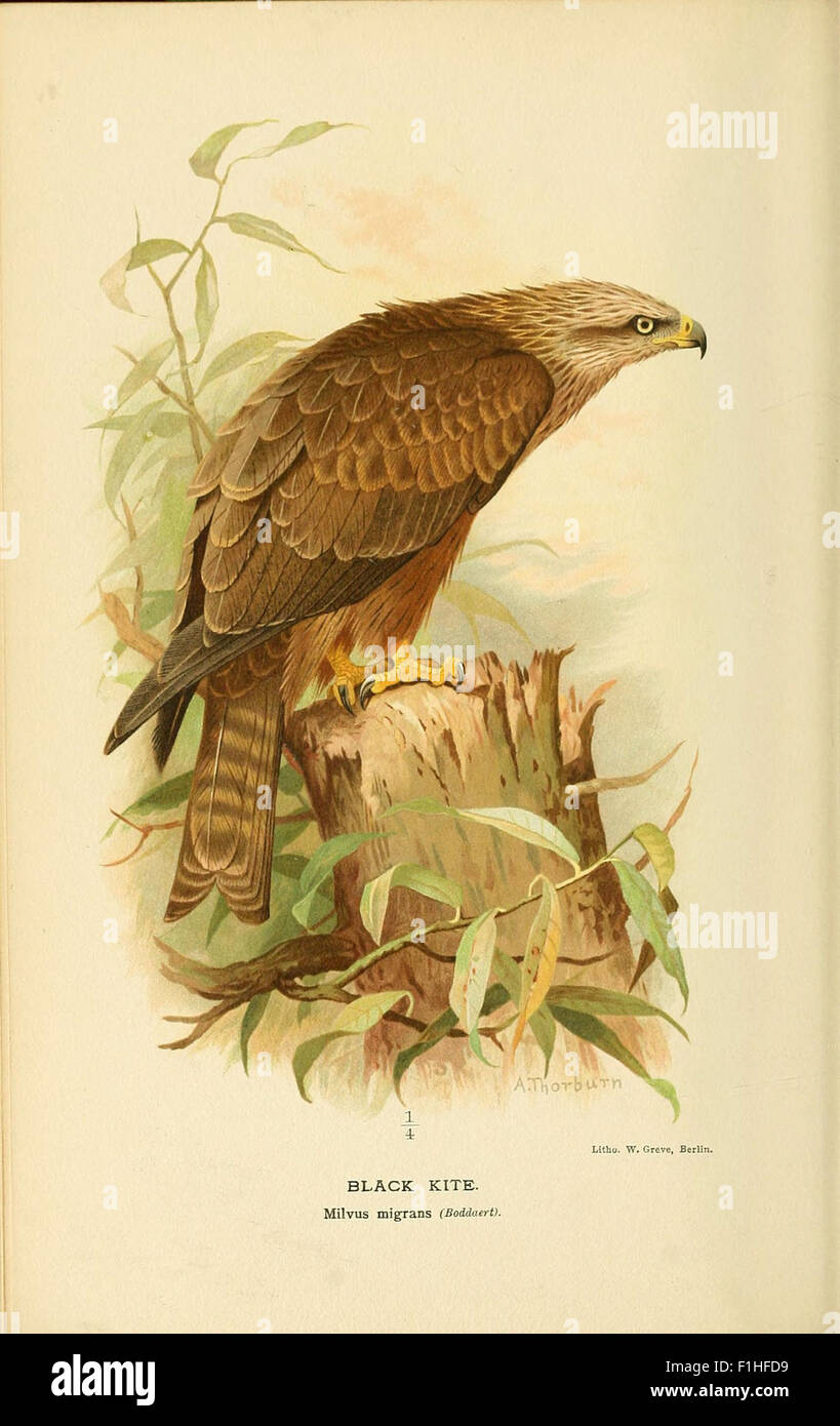 „Coloured Figures of the Birds of the British Islands“ von Lord Lilford ...