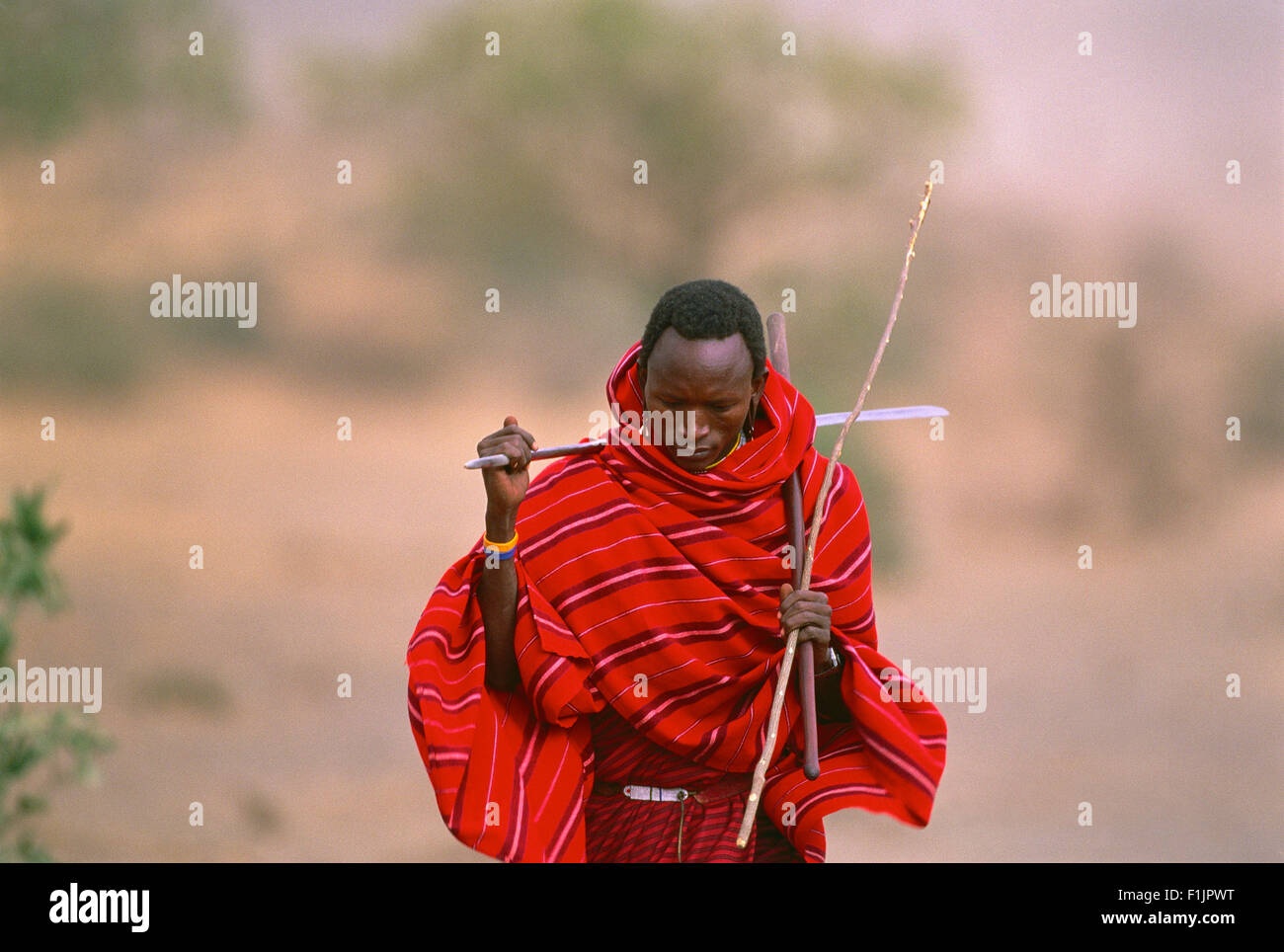 African tribesman hunting -Fotos und -Bildmaterial in hoher Auflösung ...