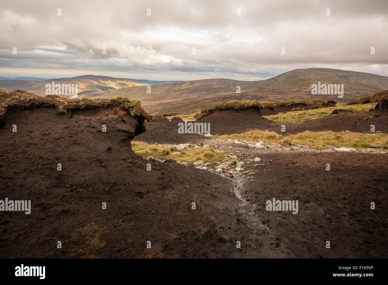 Markante Torf-Hexen und Landschaft des Hochlands Wicklow in Irland ...