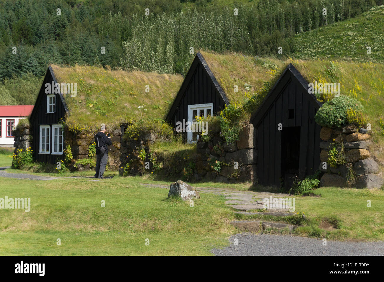 Museo di skogar -Fotos und -Bildmaterial in hoher Auflösung – Alamy