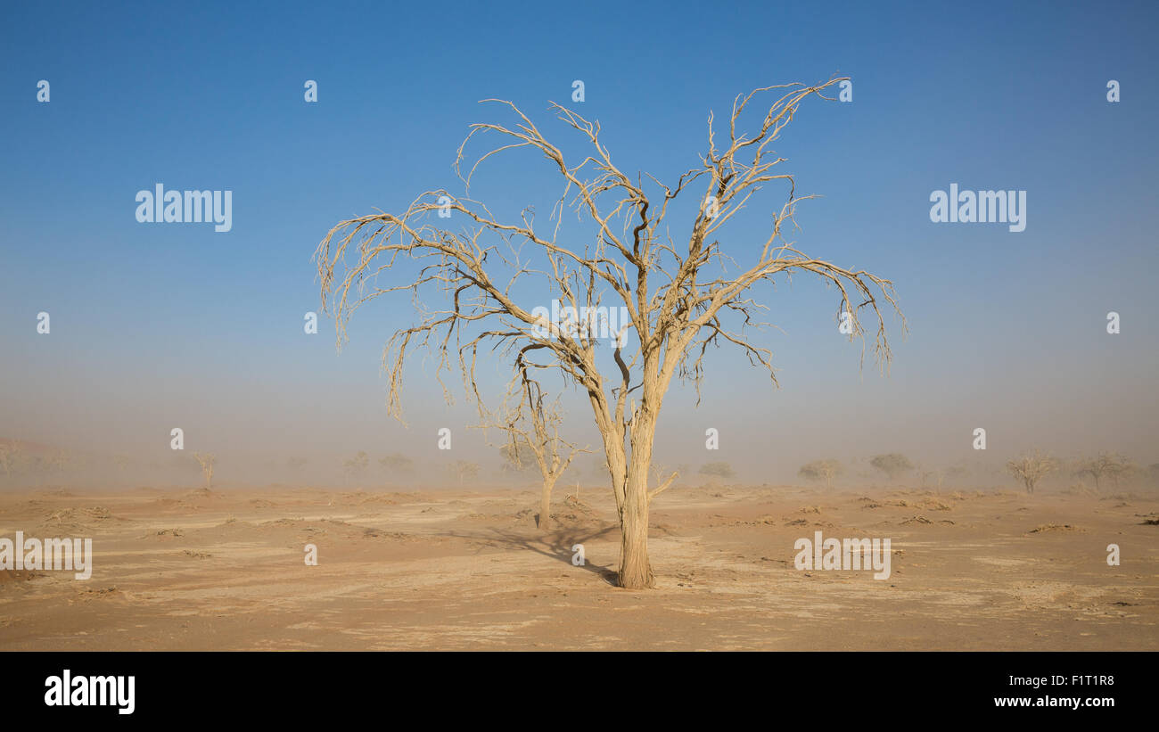 Sandsturm roter himmel Stockfotos und -bilder Kaufen - Alamy