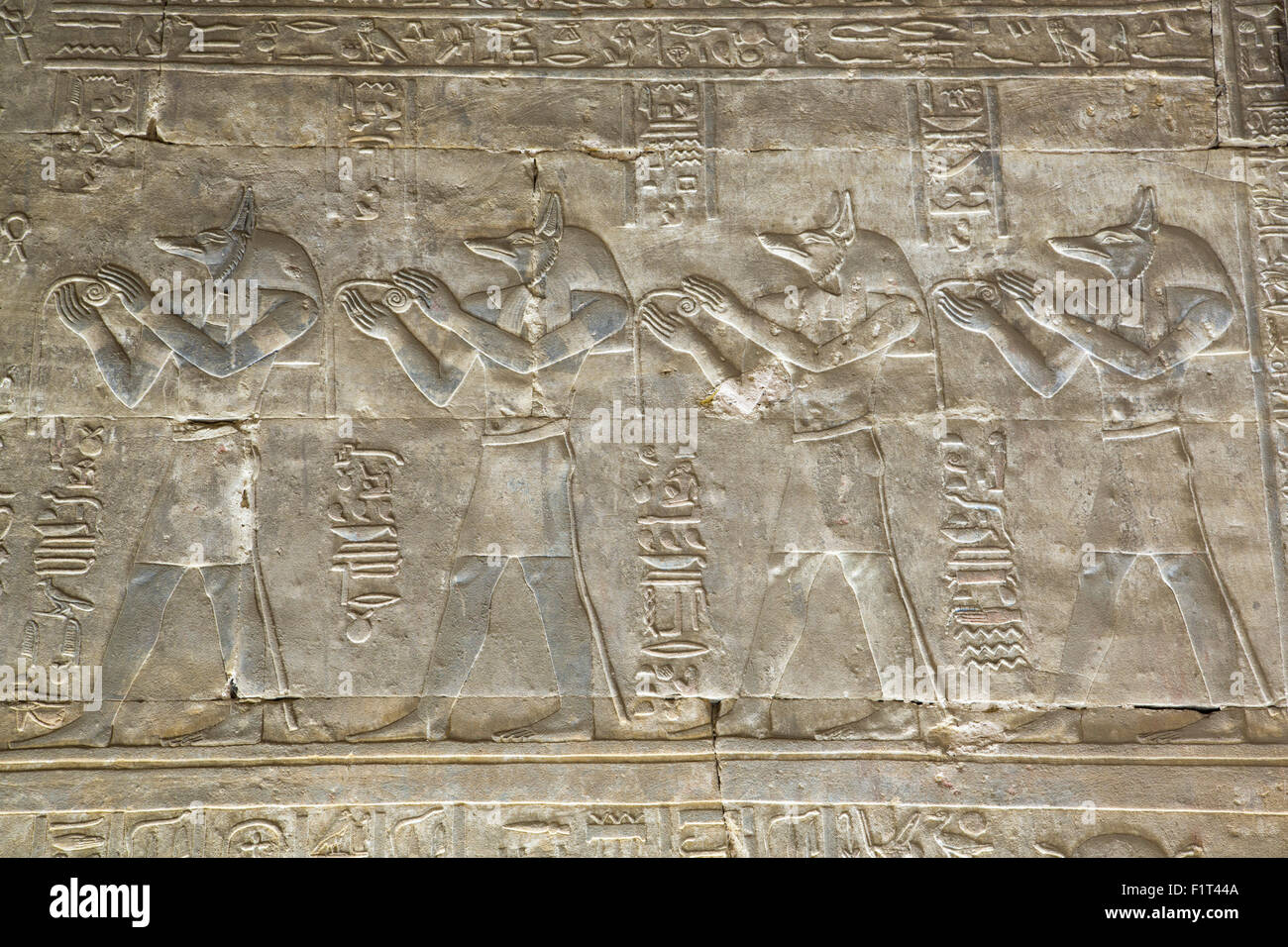 Gott anubis -Fotos und -Bildmaterial in hoher Auflösung – Alamy