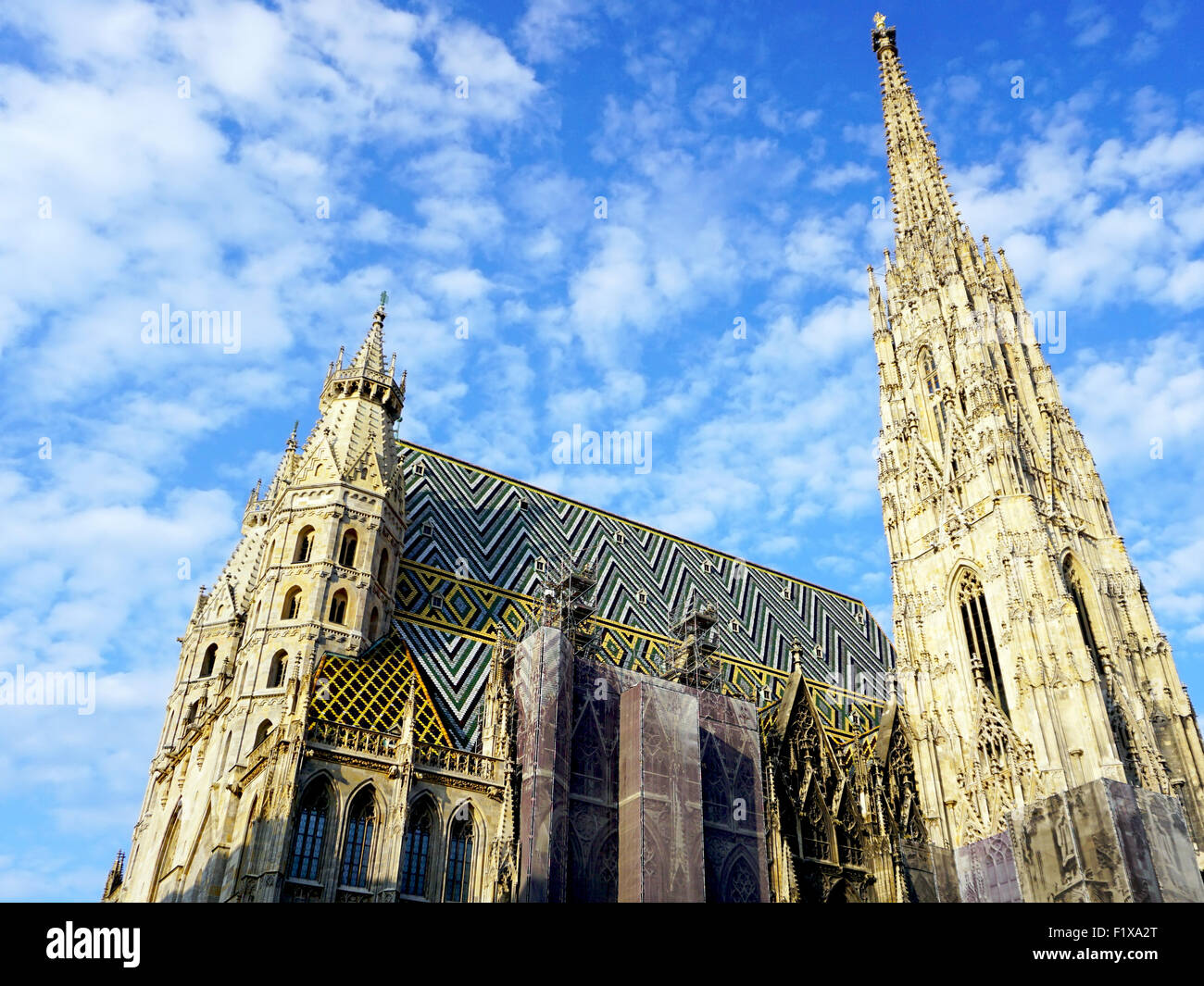 Stephansdom in Wien, Österreich Stockfotografie - Alamy