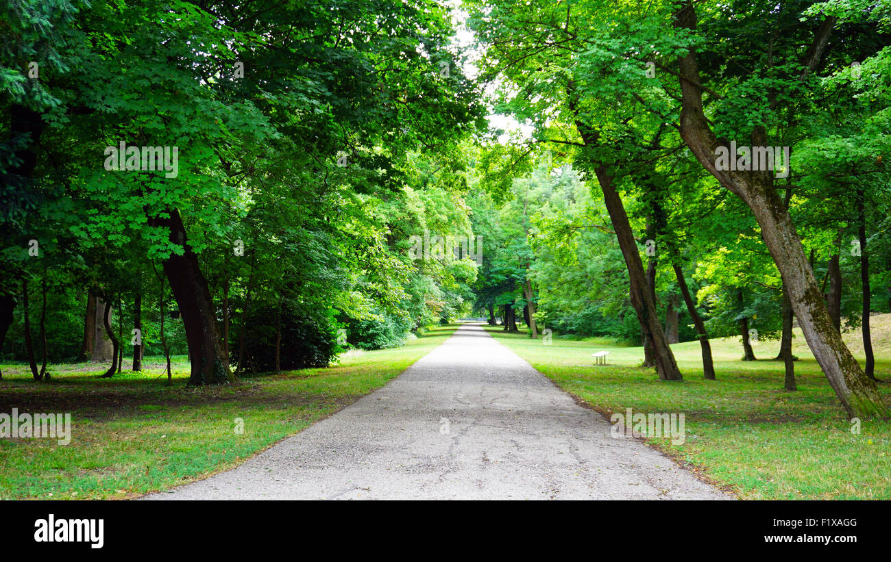 Baum im park -Fotos und -Bildmaterial in hoher Auflösung – Alamy