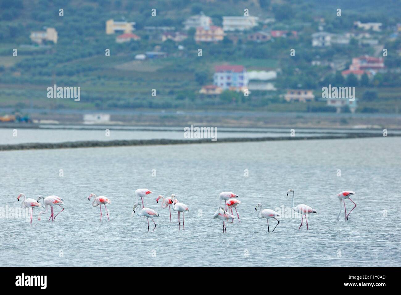 Größer albanien -Fotos und -Bildmaterial in hoher Auflösung – Alamy