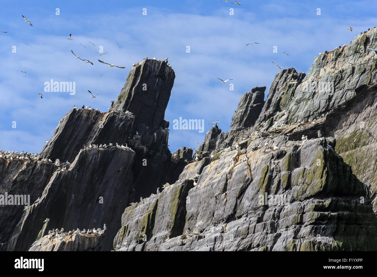 Skellig ring irland -Fotos und -Bildmaterial in hoher Auflösung – Alamy