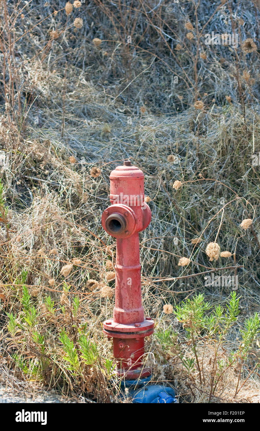 Fire hidrant -Fotos und -Bildmaterial in hoher Auflösung – Alamy