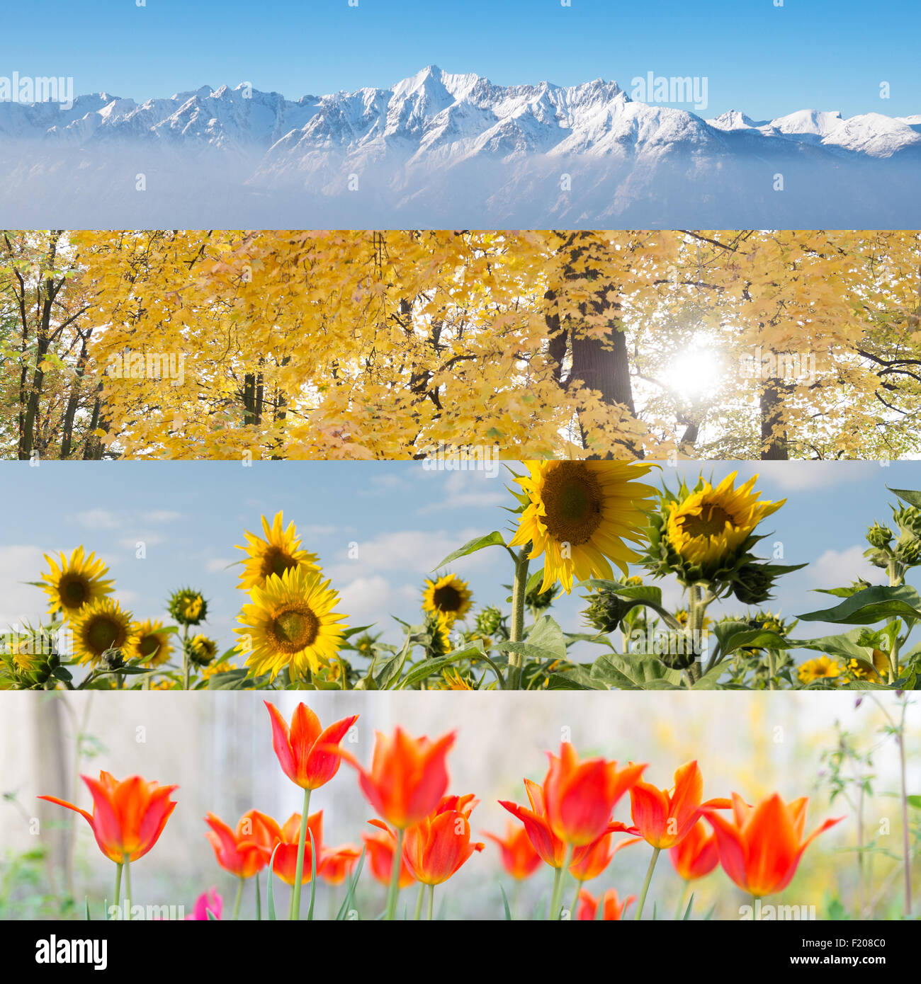 Jahreszeiten jahreszeiten -Fotos und -Bildmaterial in hoher Auflösung – Alamy