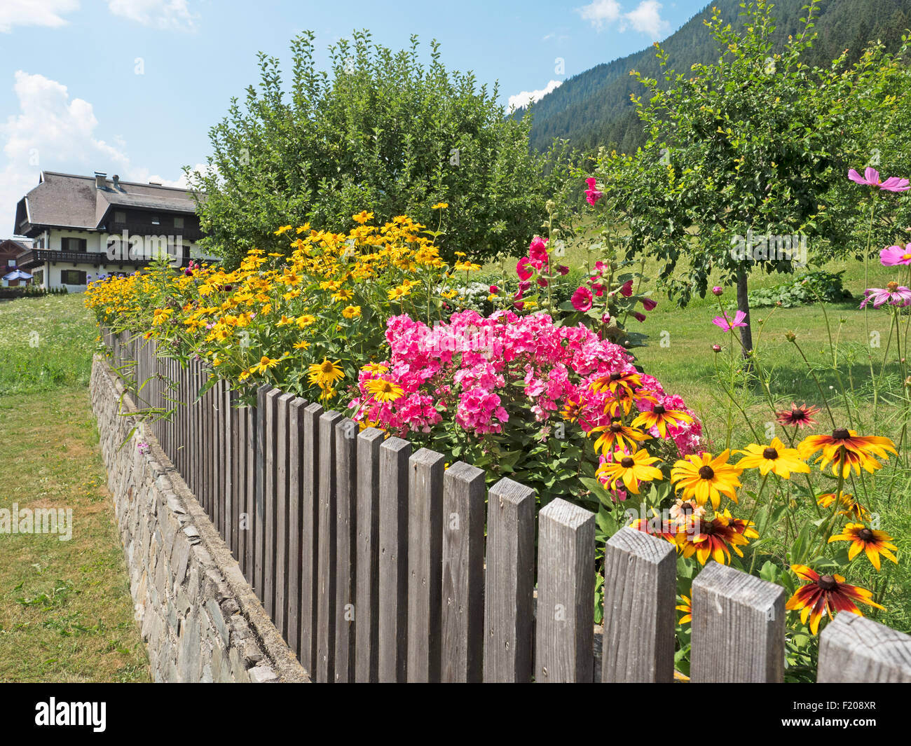 Sommer obstbaum -Fotos und -Bildmaterial in hoher Auflösung – Alamy