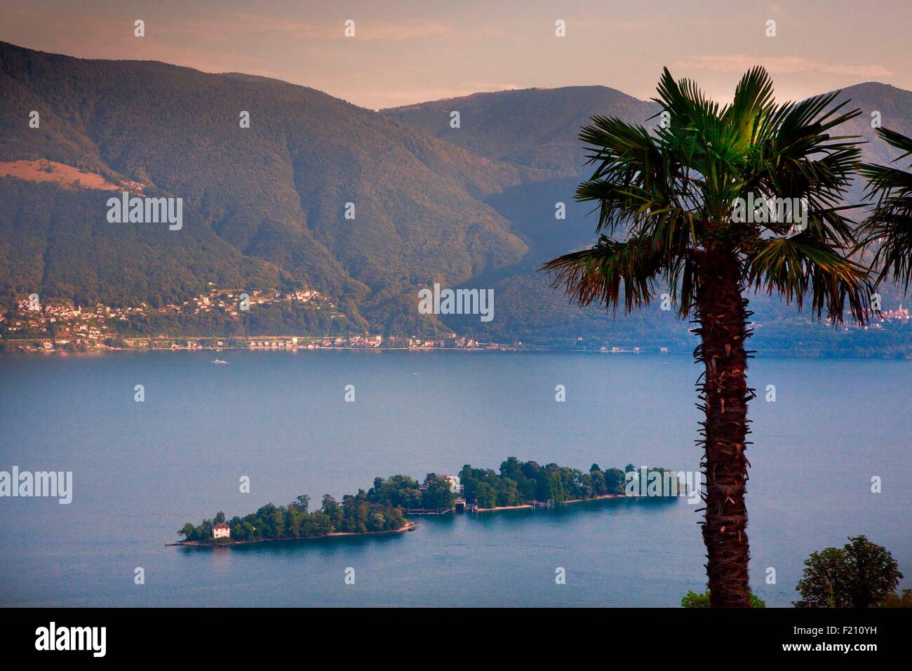 Brissago inseln -Fotos und -Bildmaterial in hoher Auflösung – Alamy