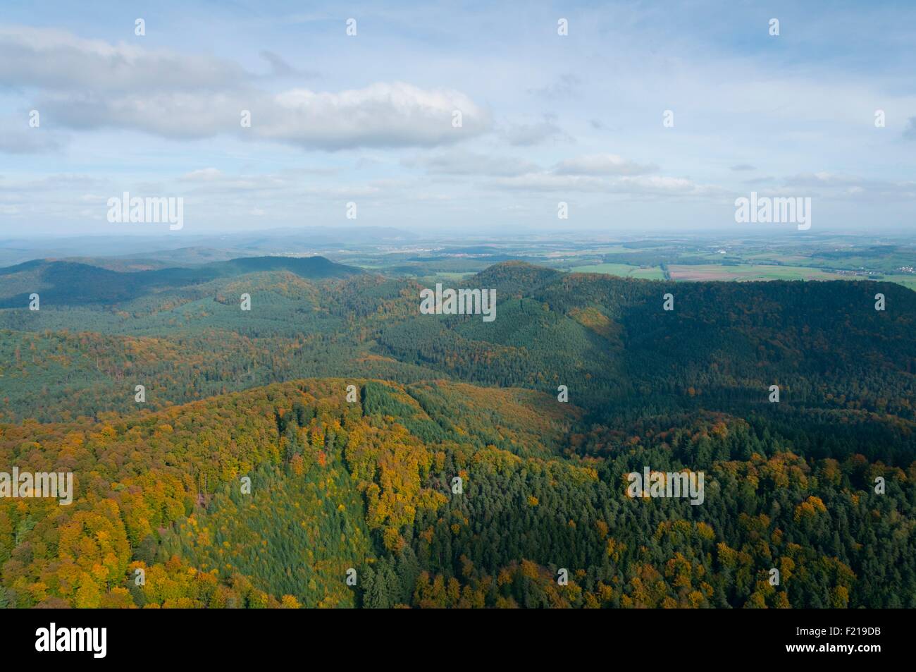 Frankreich, Bas Rhin (67), Wald im Herbst südlich von La Petite Pierre ...