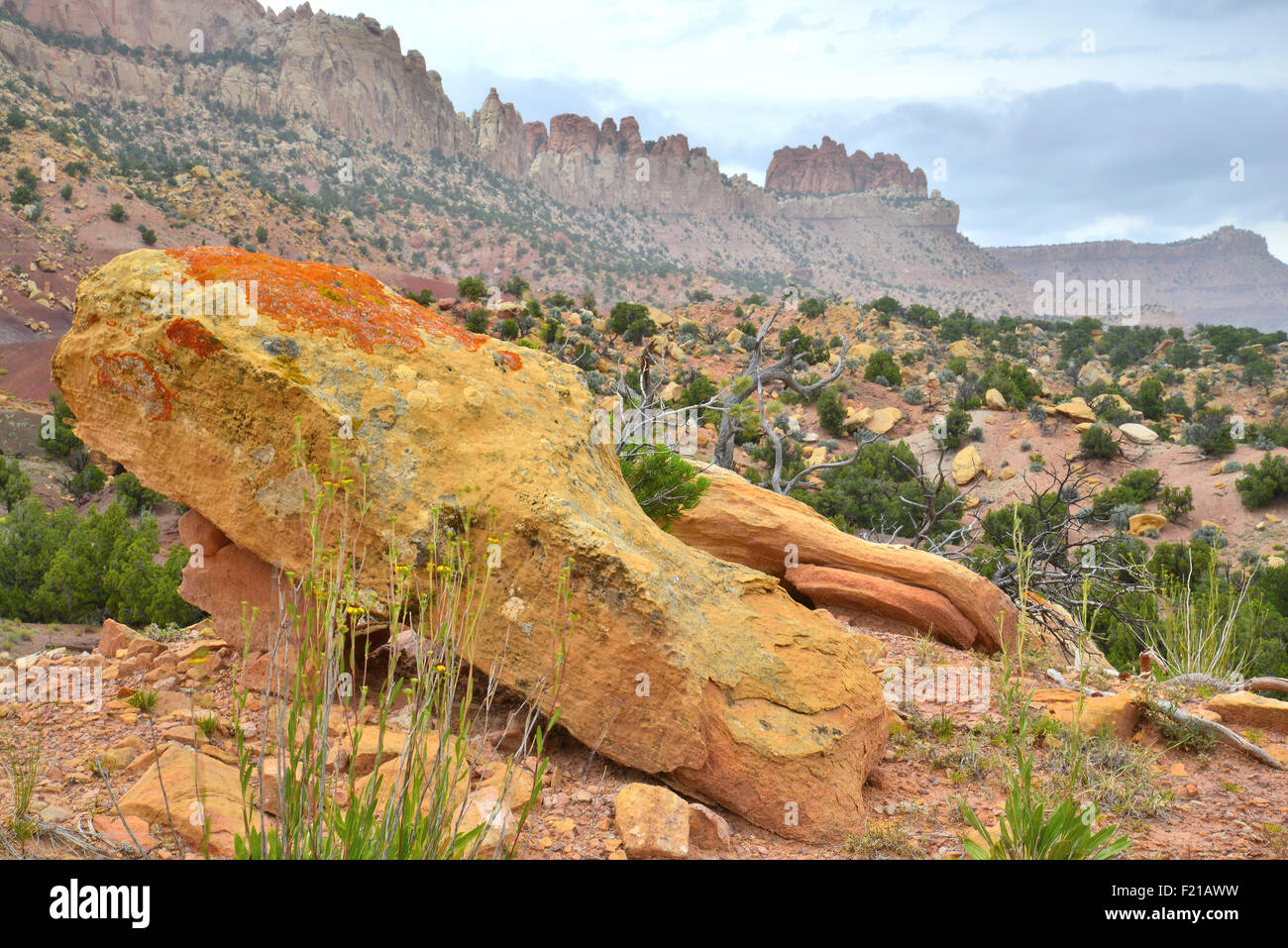 Schluchtwänden entlang Burr Trail Road (Boulder-Notom Road) im Grand ...