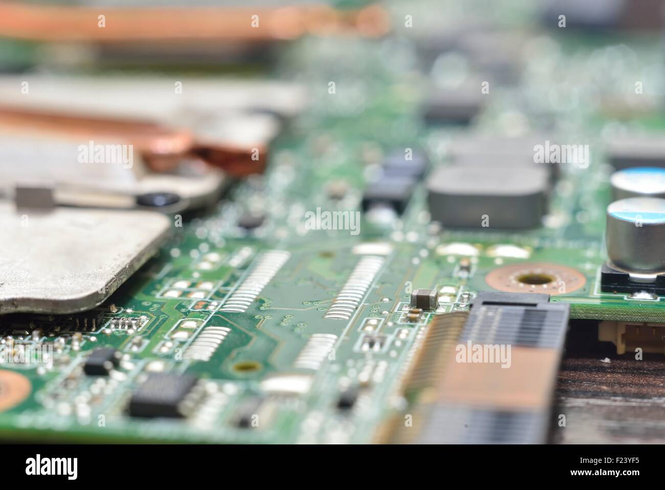 Makro Planar Stockfotos und -bilder Kaufen - Alamy