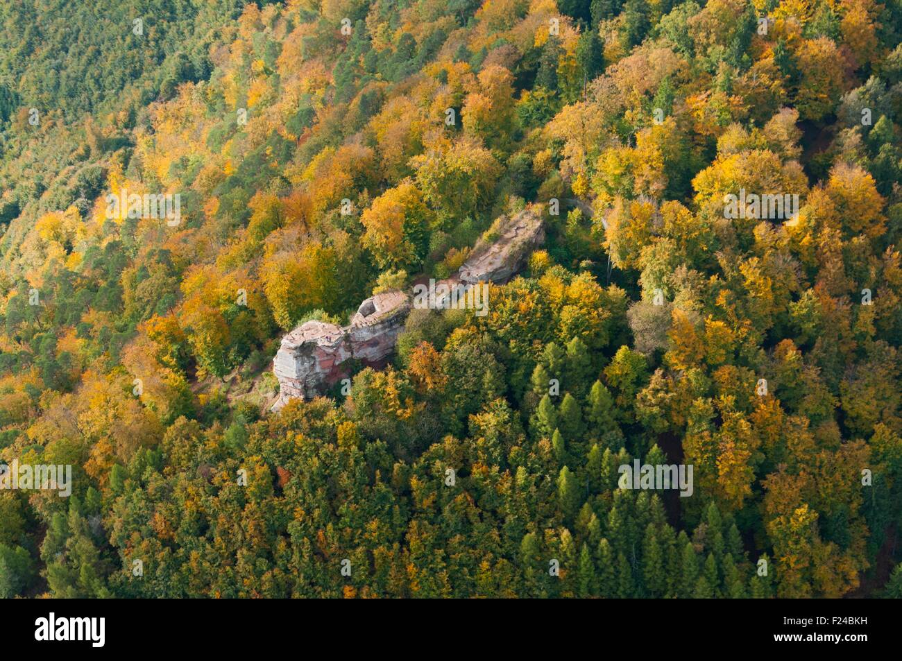 Frankreich, Bas Rhin (67), Wingen, Chateau de Loewenstein Burg ...