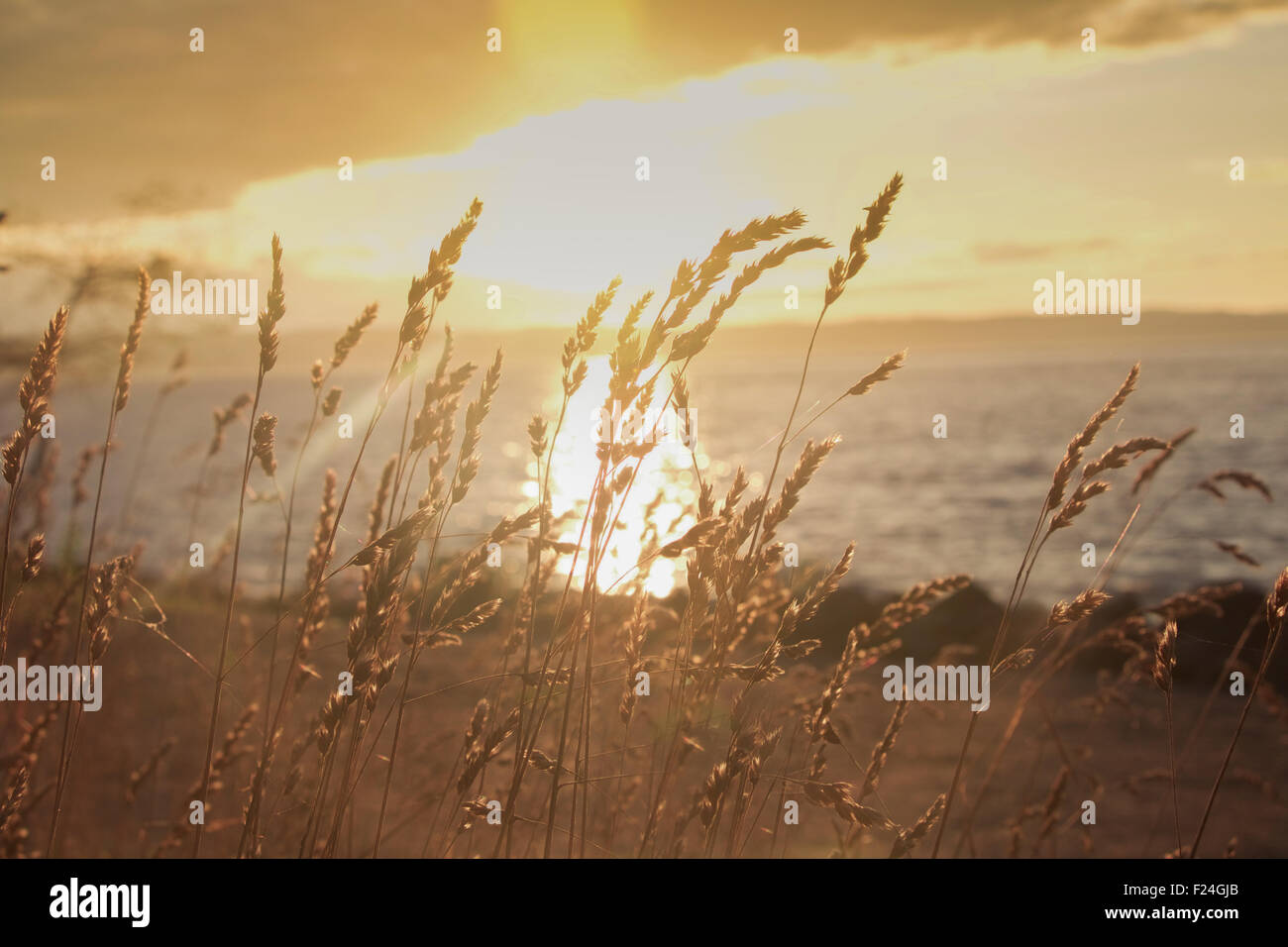 Im schwanken -Fotos und -Bildmaterial in hoher Auflösung – Alamy