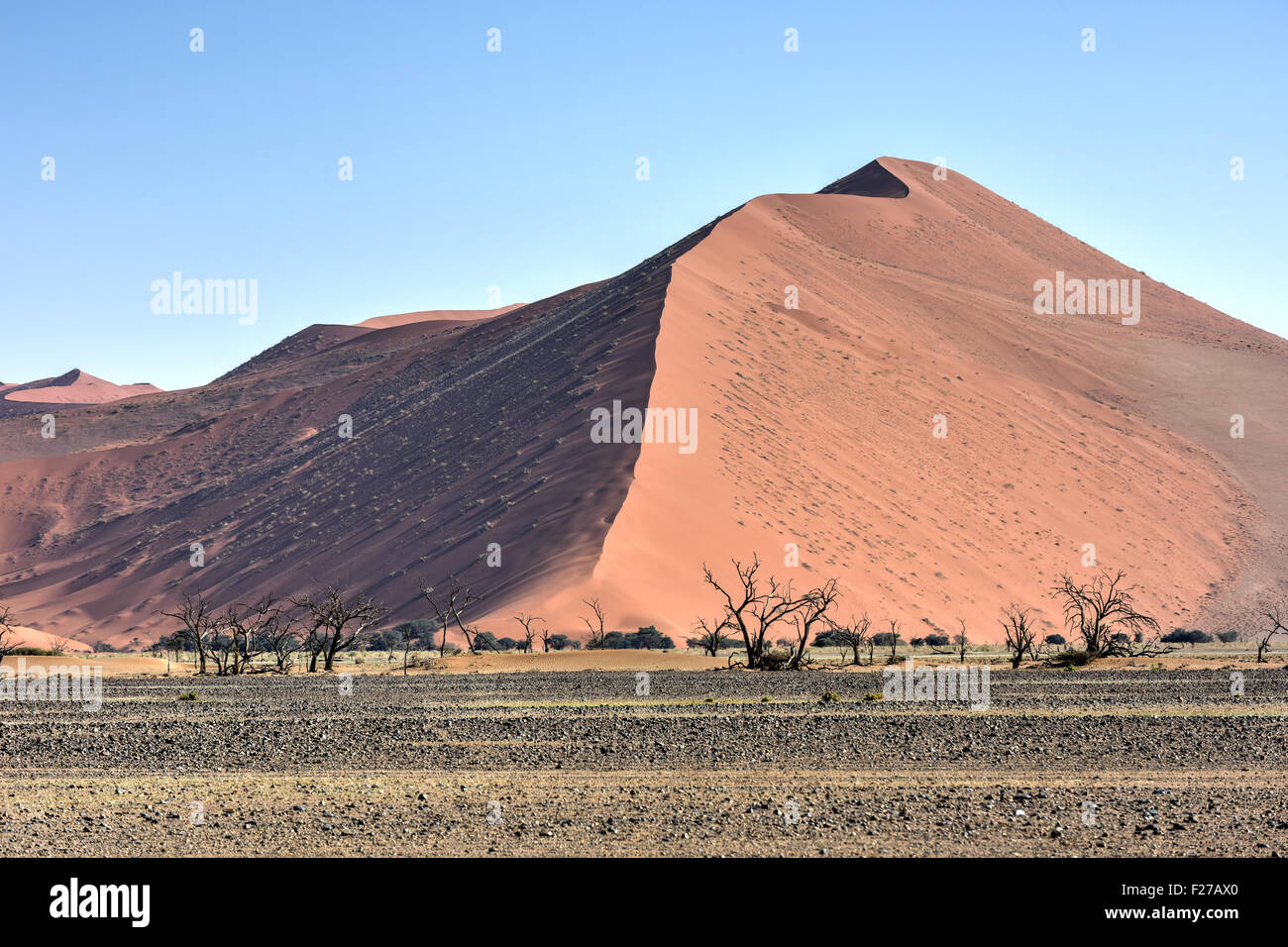 Hohen roten Dünen, befindet sich in der Namib-Wüste, in der Namib ...