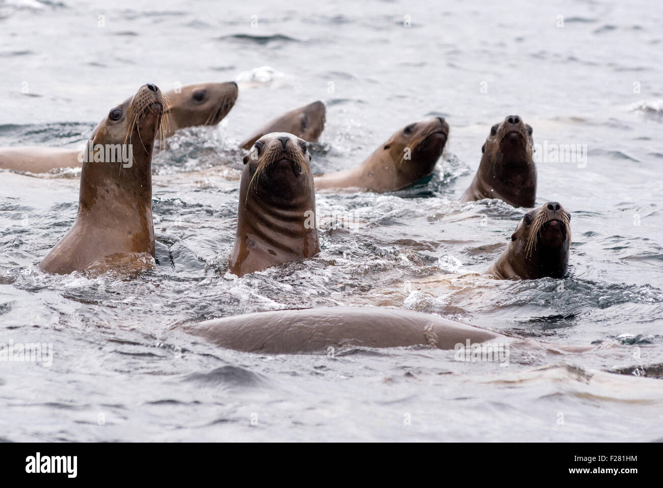 Frederick sound -Fotos und -Bildmaterial in hoher Auflösung – Alamy