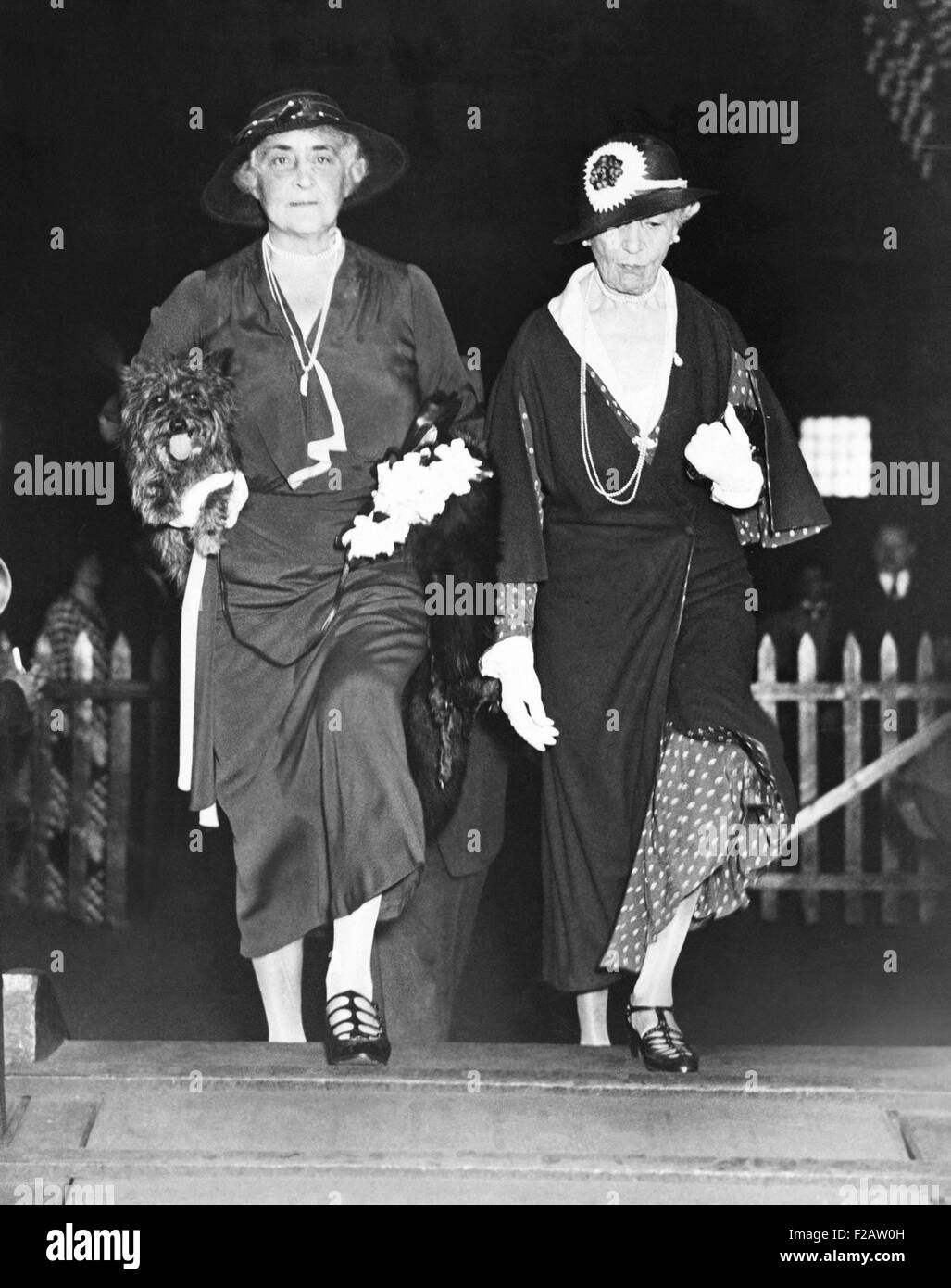 Anne de wolfe -Fotos und -Bildmaterial in hoher Auflösung – Alamy