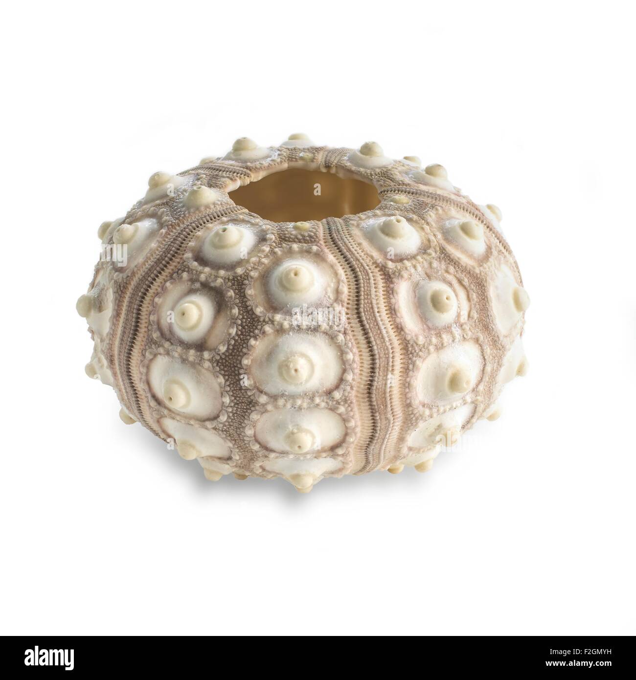 Sputnik hintergrund -Fotos und -Bildmaterial in hoher Auflösung – Alamy