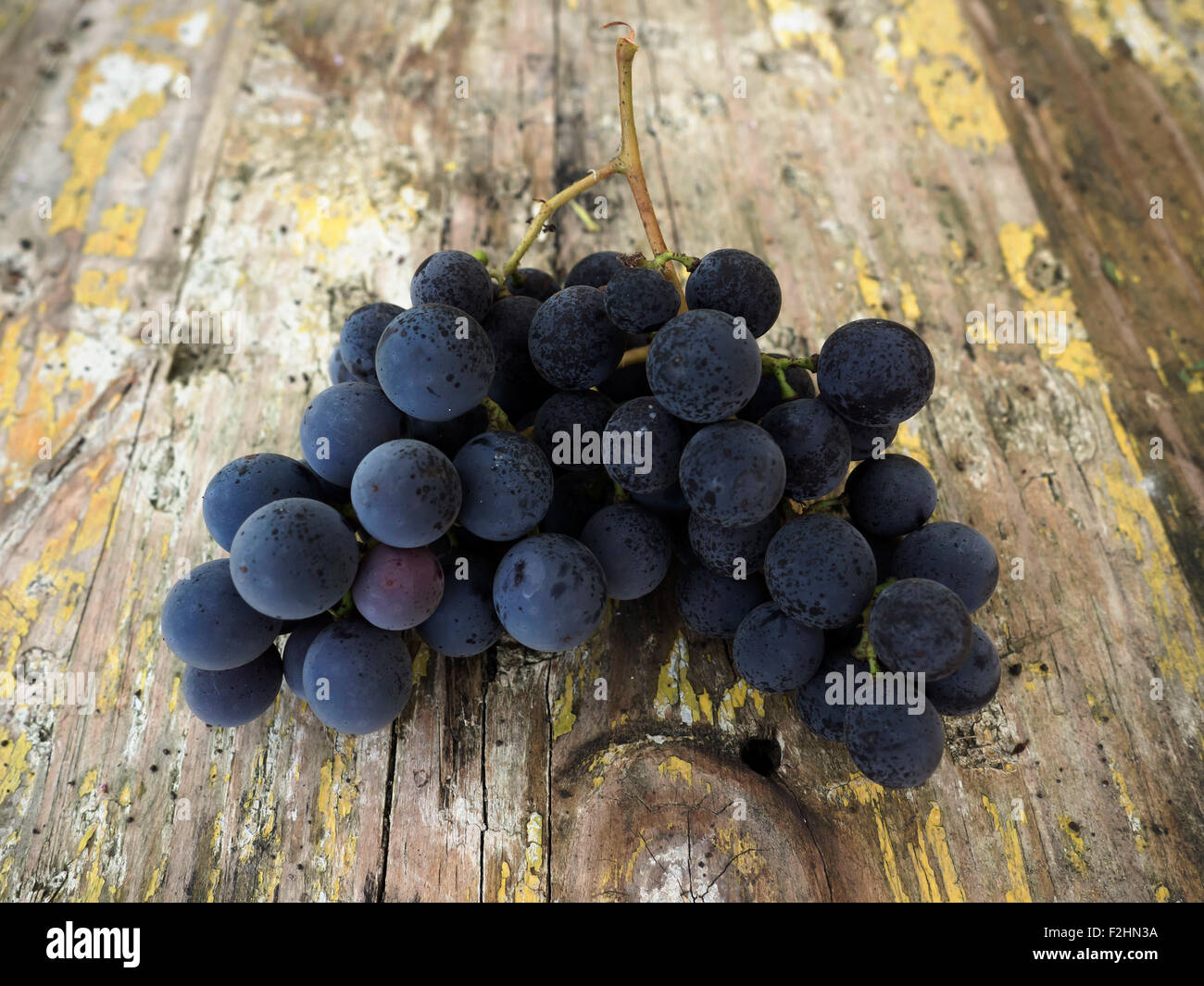 Rote trauben anordnung -Fotos und -Bildmaterial in hoher Auflösung – Alamy