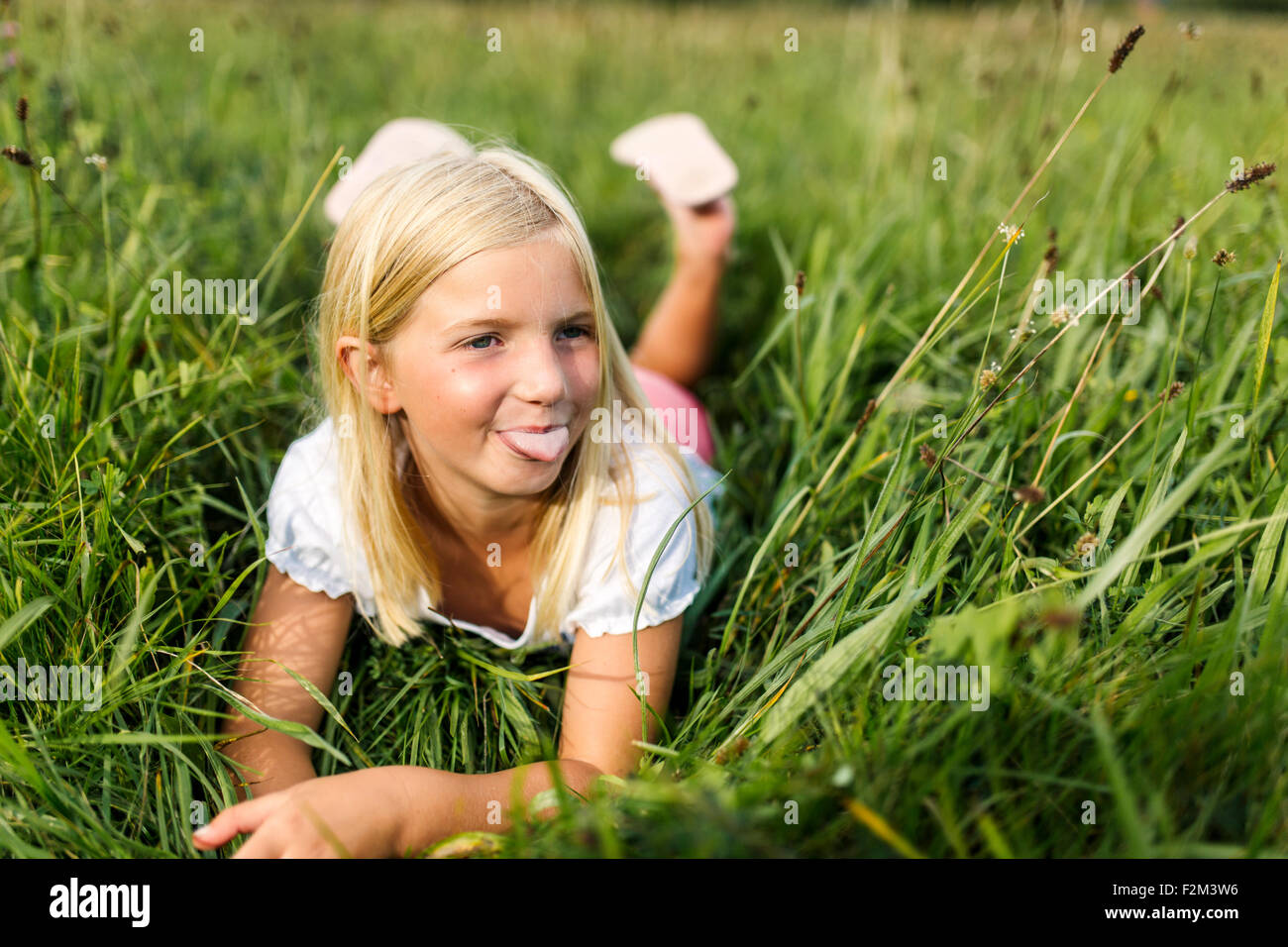 Mit Der Zunge Raus Stockfotos und -bilder Kaufen - Alamy