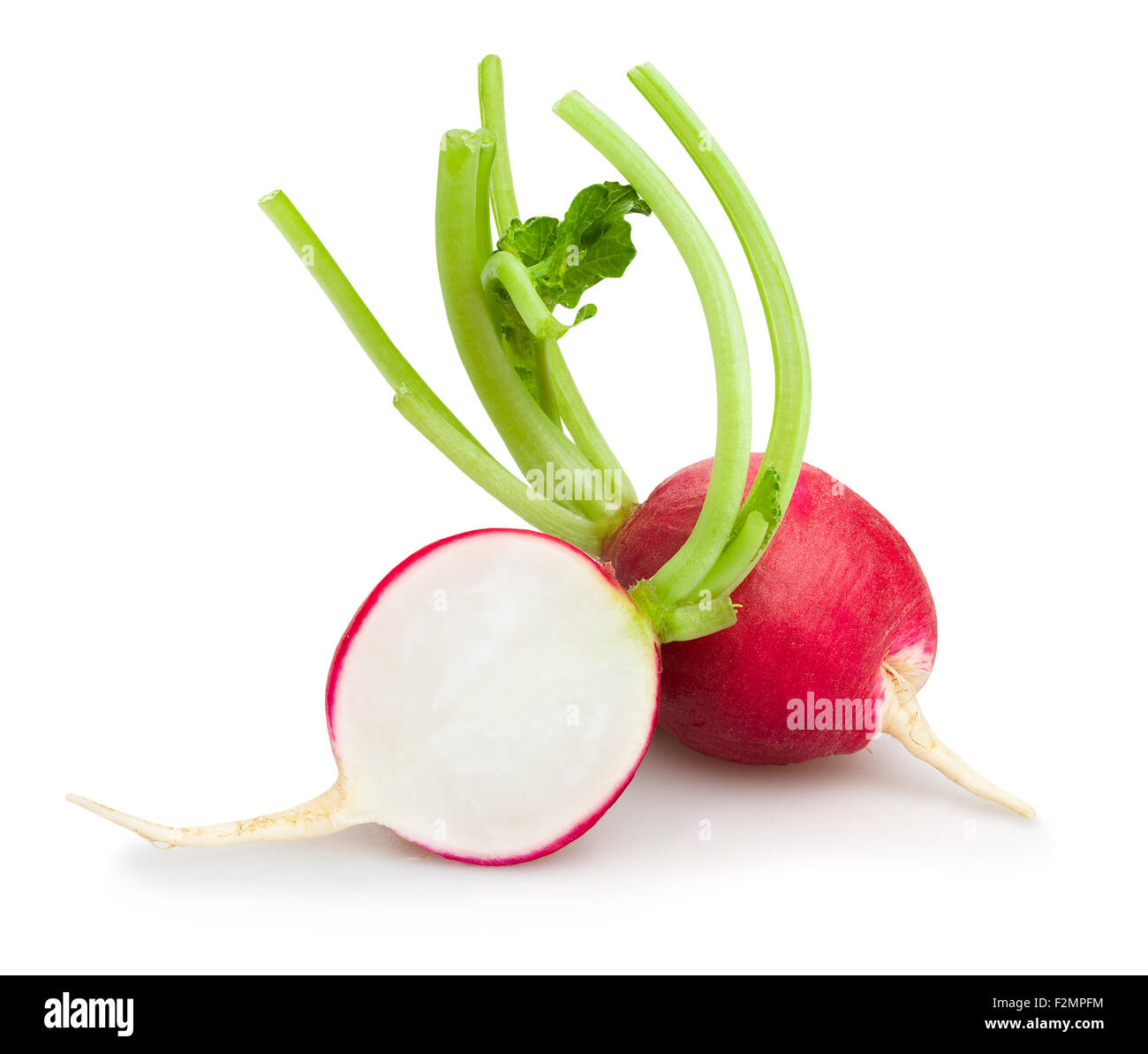 Radieschen schneiden -Fotos und -Bildmaterial in hoher Auflösung – Alamy