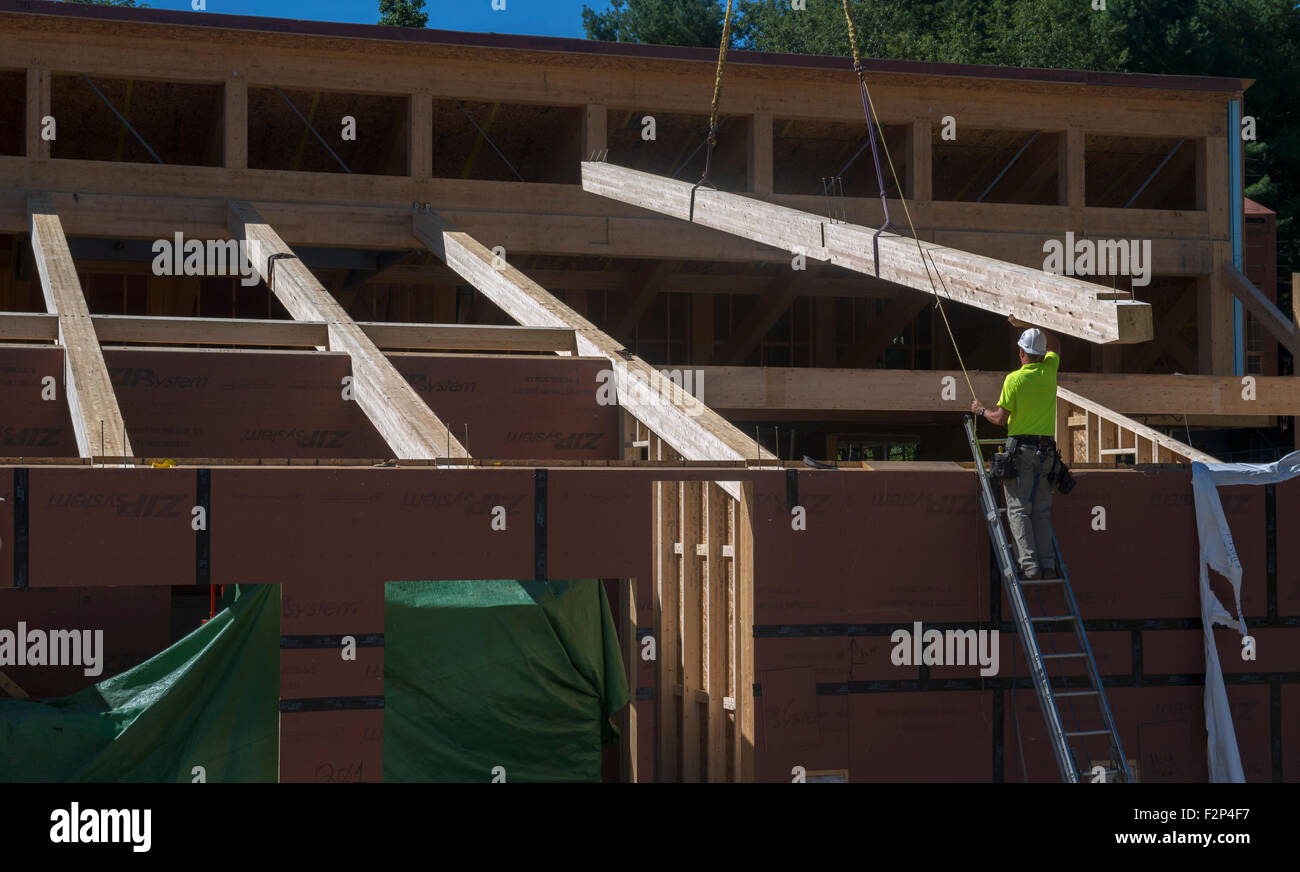 Gemeinsame sparren -Fotos und -Bildmaterial in hoher Auflösung – Alamy